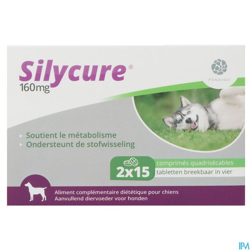 Silycure 160mg Comp 2x15 - Pazzox, pharmacie en ligne pas de soucis